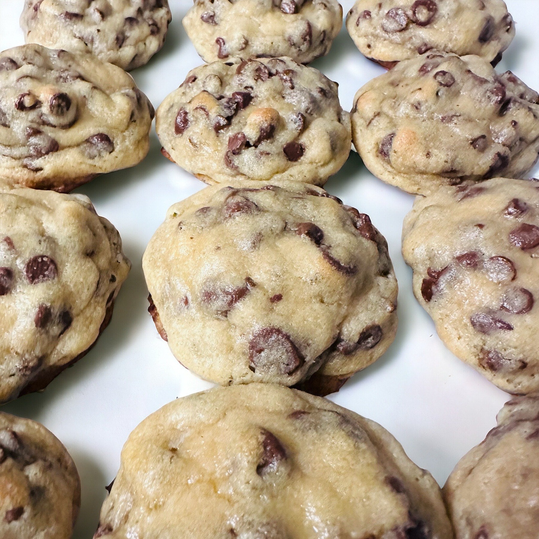 Chocolate Chip – COOKEE BITES